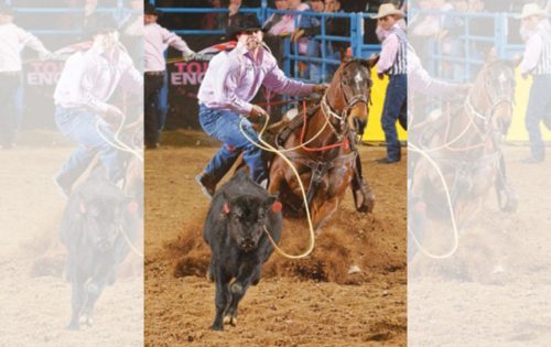 Justin Maass and His Two Horses of the Year: Oz and Flip - CalfRoping.com