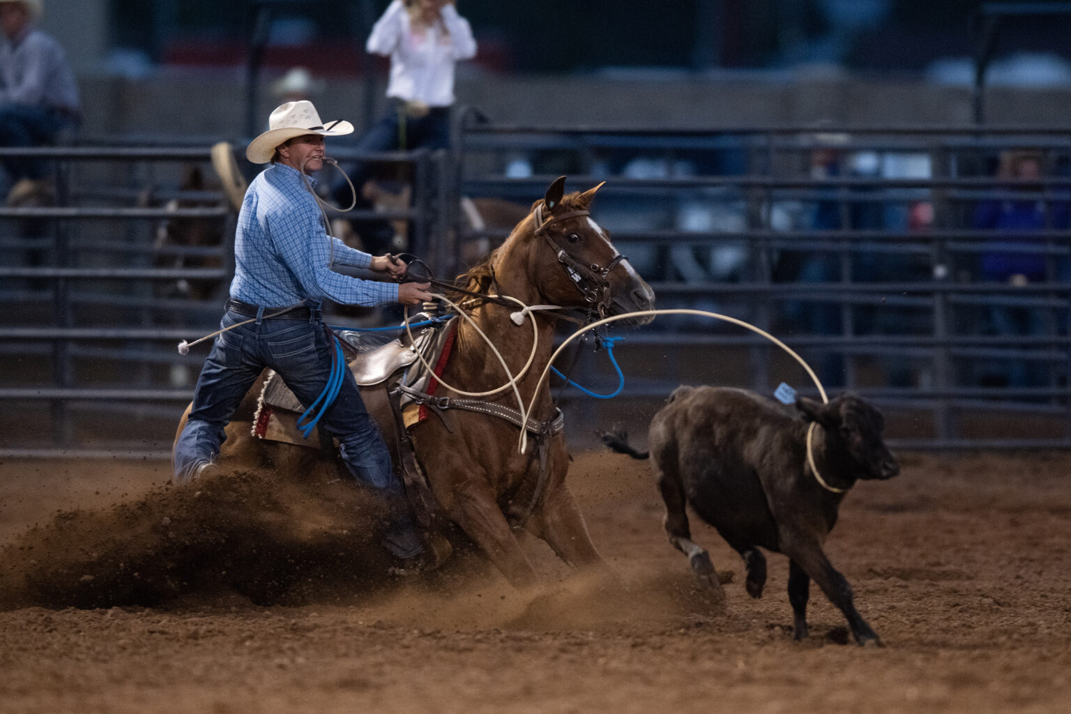 North Dakota Rough Rider Cup Draw, Format, Payout and More