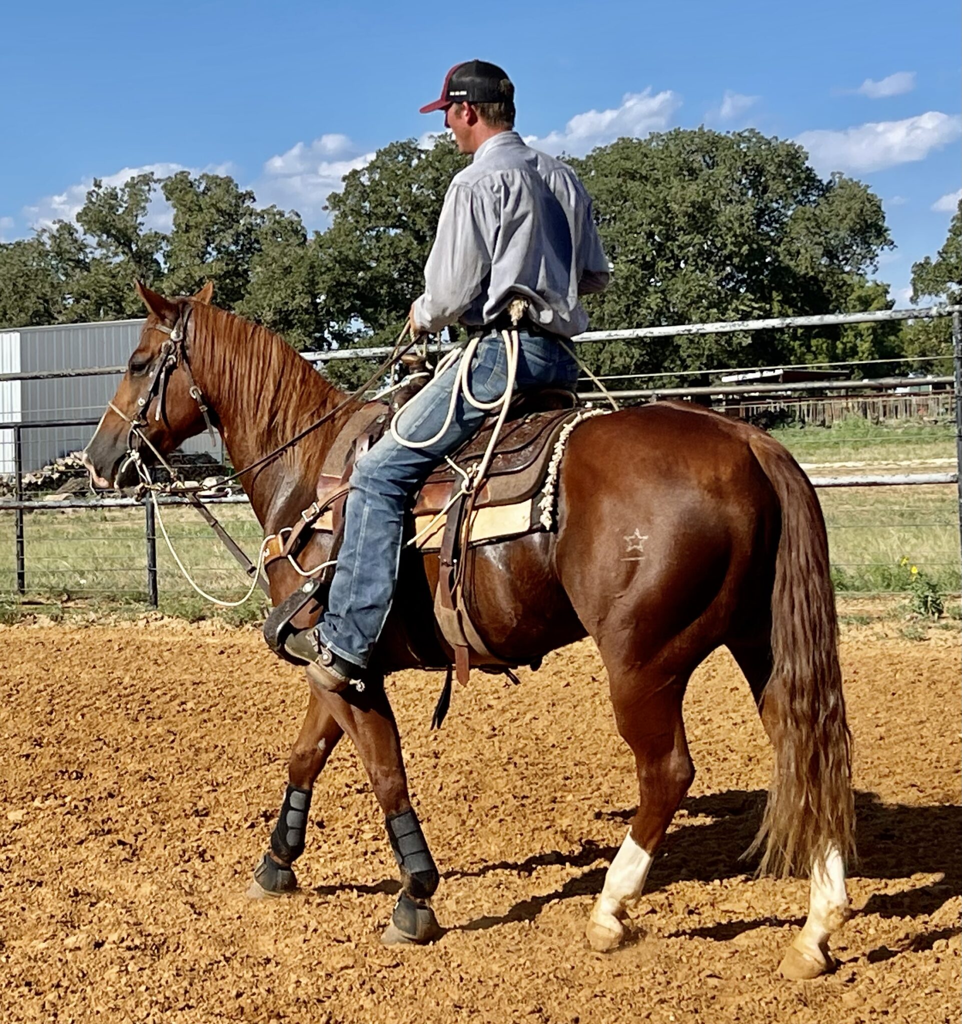 The Howard Council Cowboy Connection