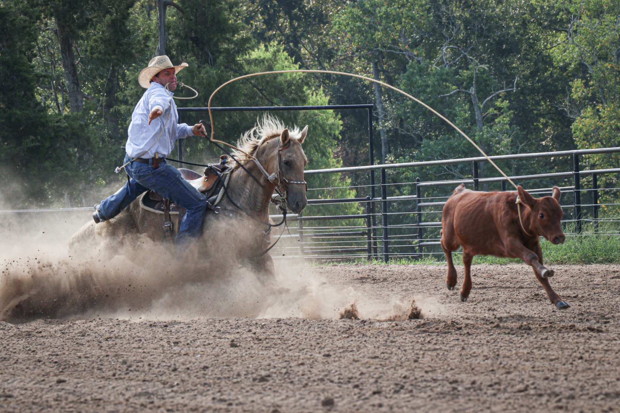 Full List of WPRA's Tie-Down Roping World Champions