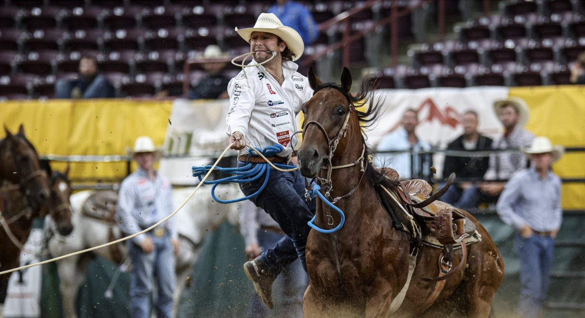 Harris and Pederson Split Pendleton Win: 2024 Pendleton Round-Up Calf Roping Results
