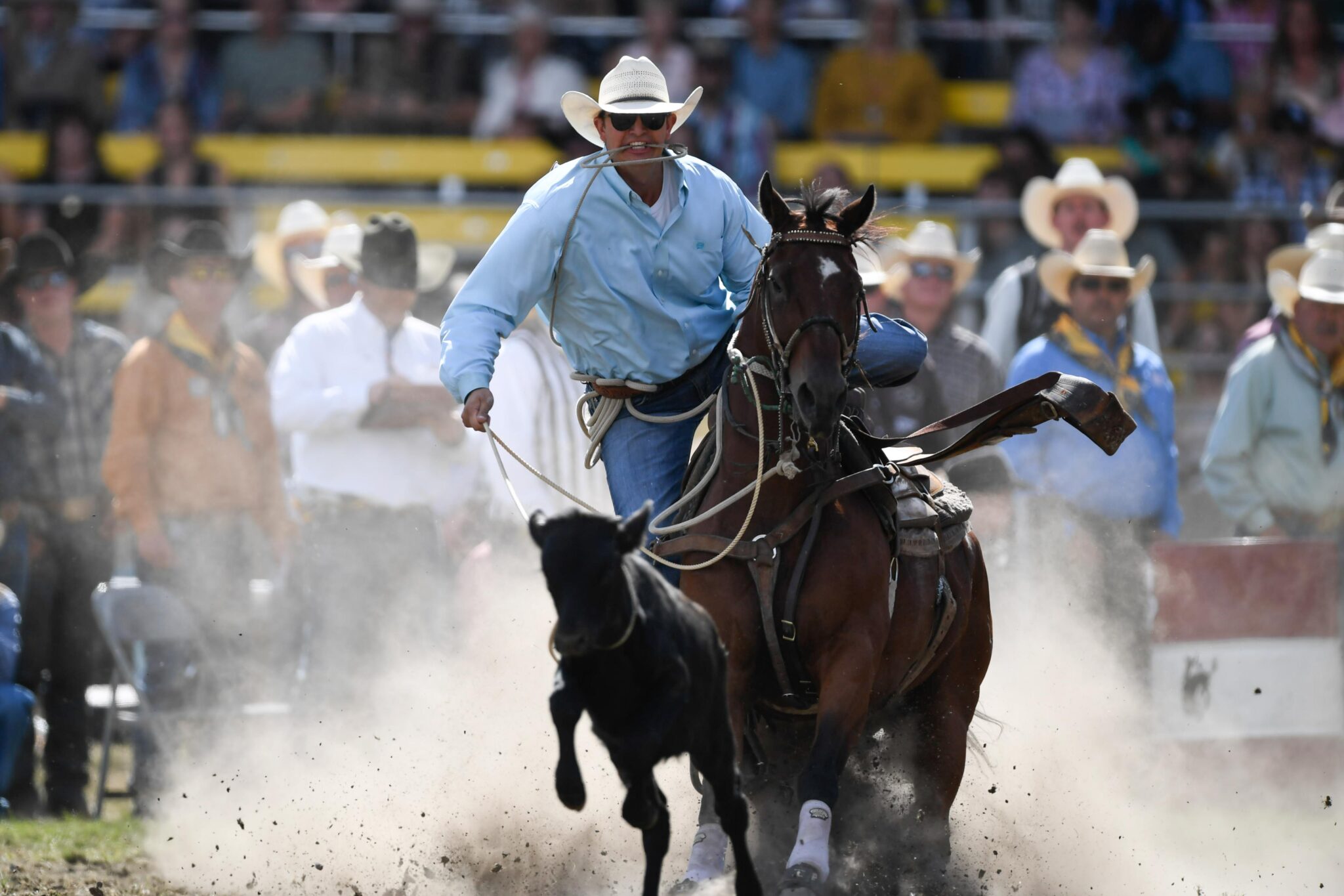 Fast on the Grass: 2025 Pendleton Round-Up Calf Roping Results