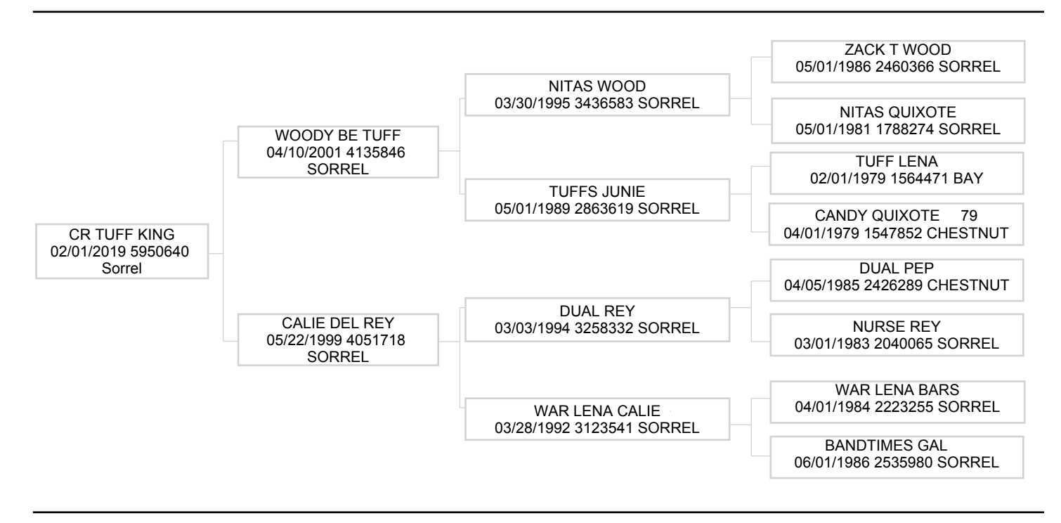 Cody McCartney Tops Gold Buckle Futurities Fall Event with $71,750