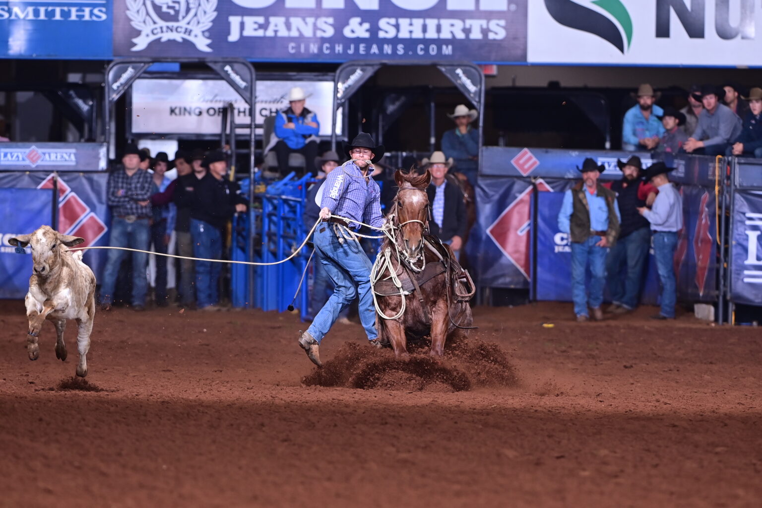 Cinch Timed Event Championship Roster, Payout and More