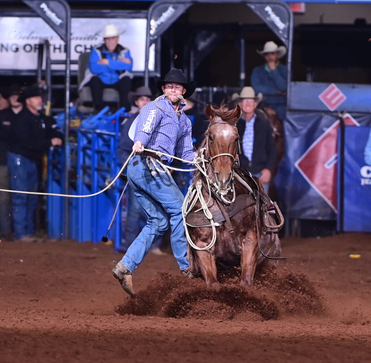 Watch the Cinch Timed Event Championship - CalfRoping.com
