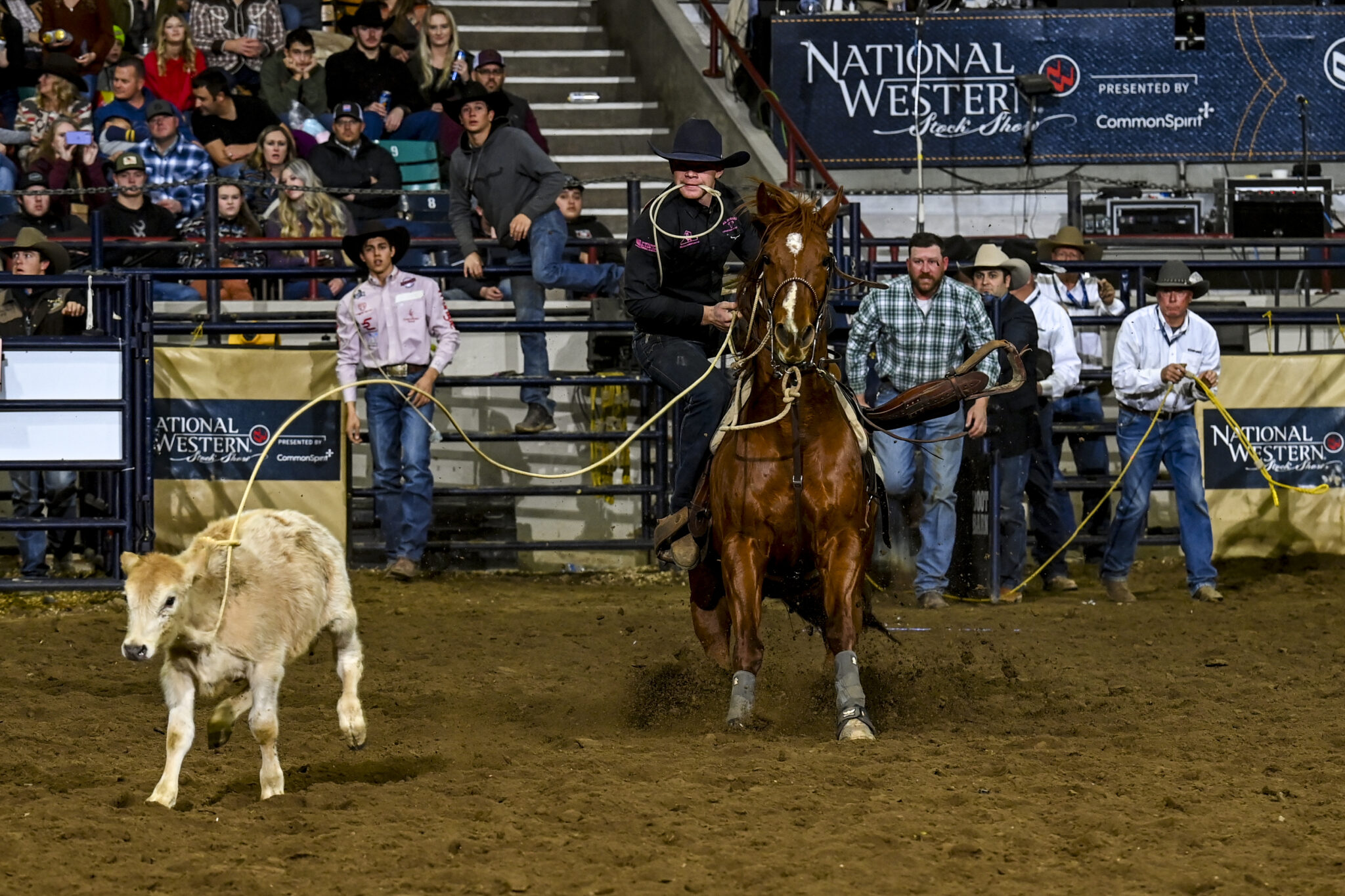 National Western Stock Show Rodeo: Draw, Results and More