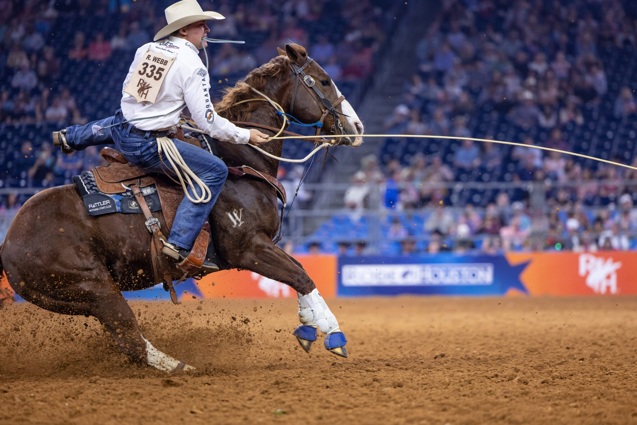 The Calf Roping Horses of the 2025 RodeoHouston Finals