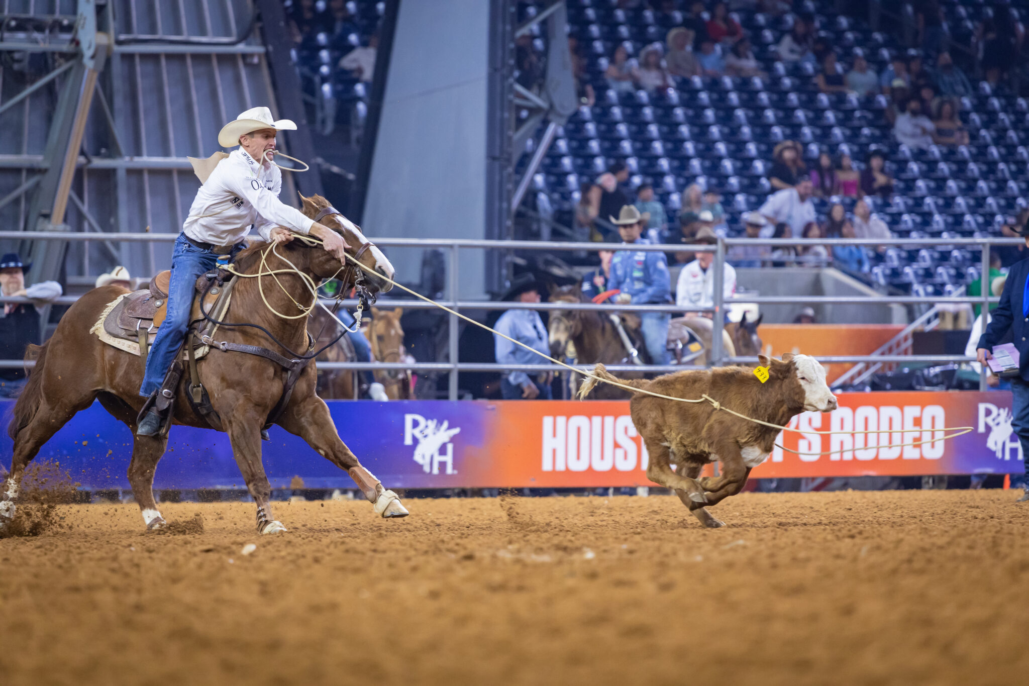 The Calf Roping Horses of the 2025 RodeoHouston Finals