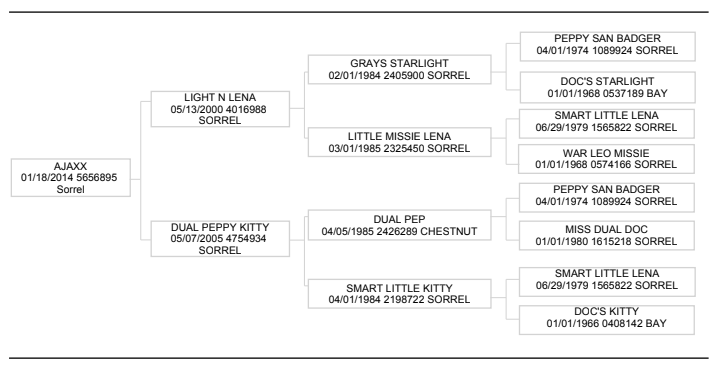 The Calf Roping Horses of the 2025 RodeoHouston Finals