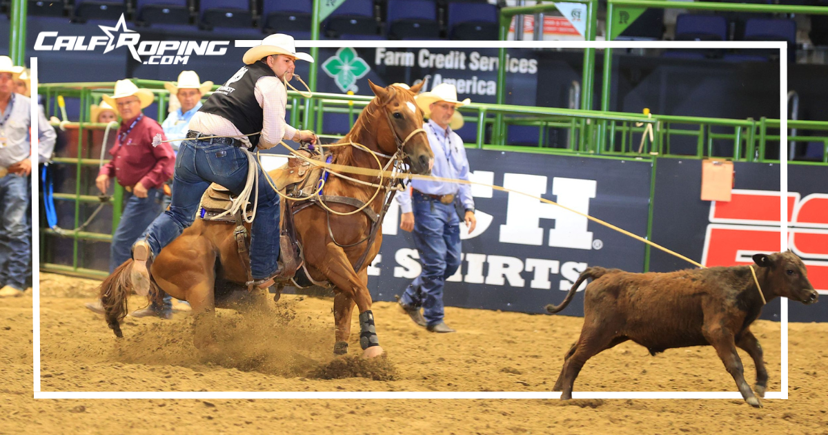 College National Finals Rodeo Calf Roping Results 2025 - CalfRoping.com