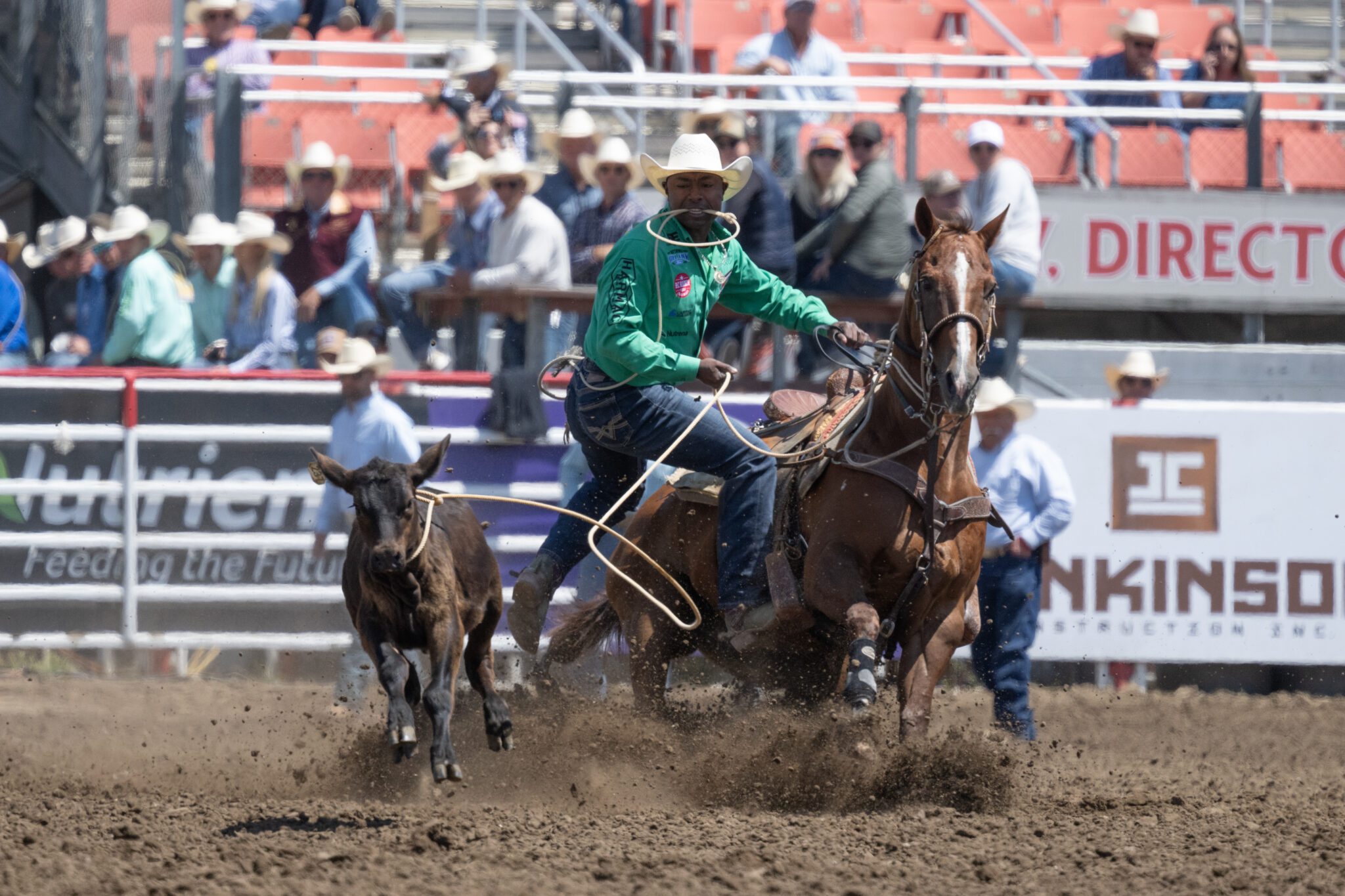 Cali Bound: 2025 California Rodeo Salinas Calf Roping Results ...