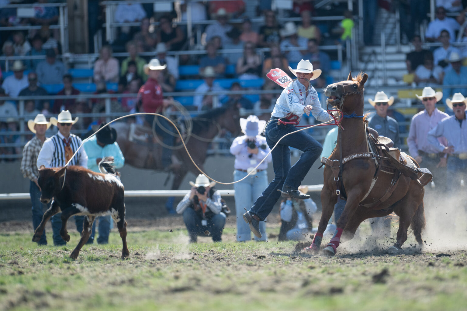 Final Stretch of 2025 Season: September 8-14 ProRodeo Calf Roping Results