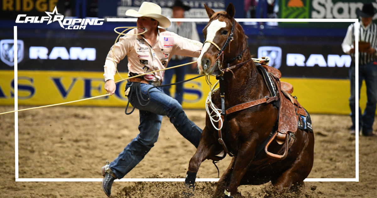 Riley Webb's Rudy Wins 2025 AQHA/PRCA Horse of the Year