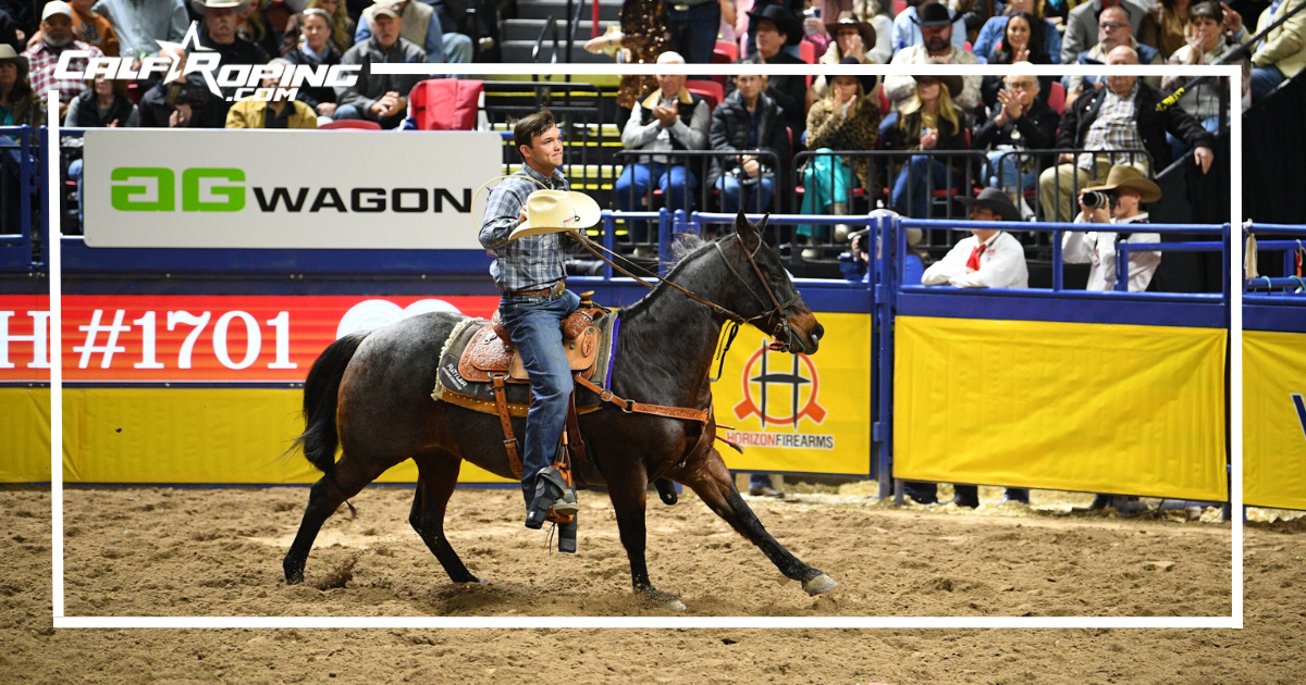 NFR 2025 Round 8 Calf Report