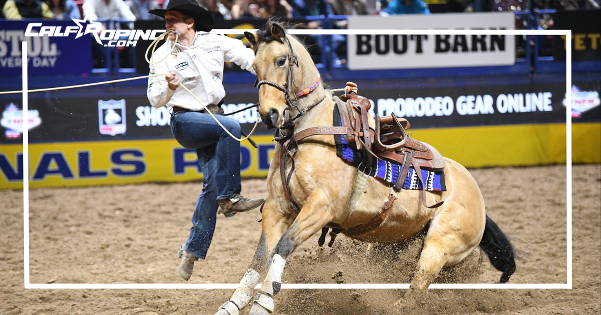 Top 10 Calf Roping Sires of 2025 - CalfRoping.com