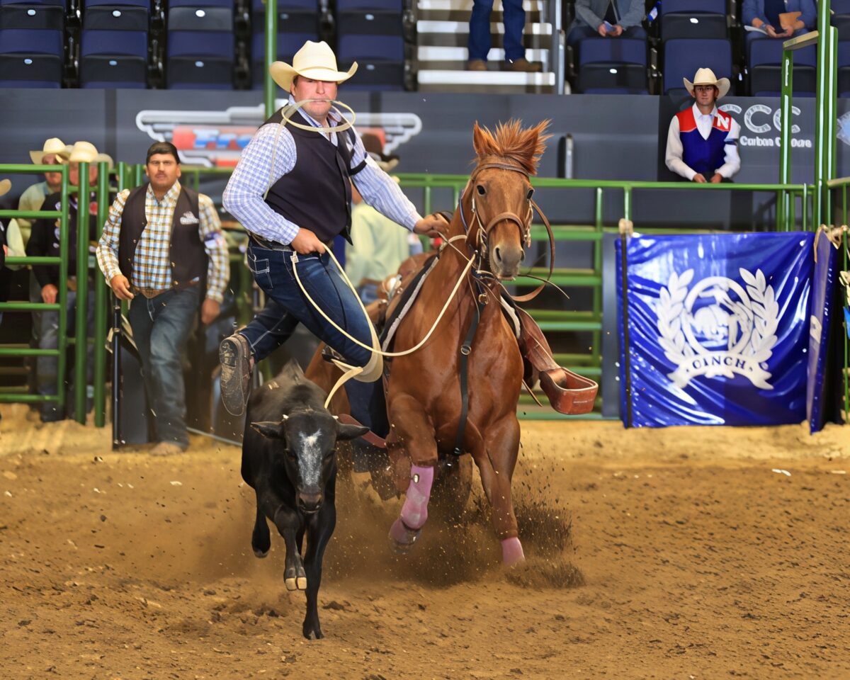 CNFR 2026: Calf Roping Draw, Format and More - CalfRoping.com